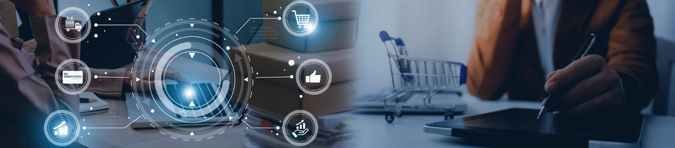 eCommerce Solutions - Cygnus Insight Inc
